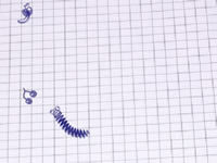 Play Notepad Snake - Free online games with Qgames.org